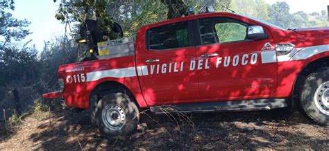 Vasto Incendio A Trevignano Alimentato Dal Vento Terzo Binario News