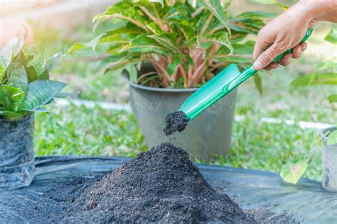 preparación de una mezcla de suelo a partir de compost fértil humus y