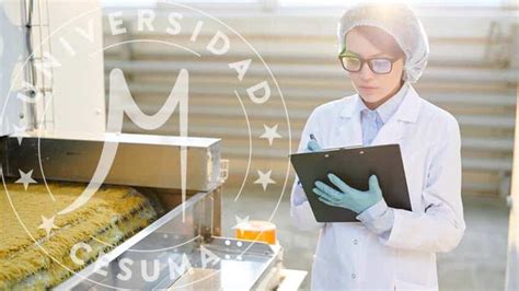 Perfil Del Consultor De Calidad Y Seguridad Alimentaria 2024