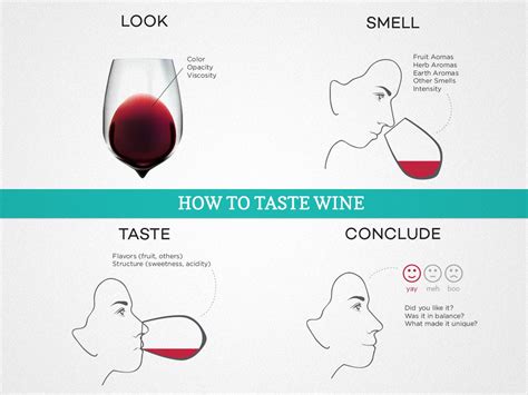 How To Taste Wine And Develop Your Palate Wine Folly Wine Tasting