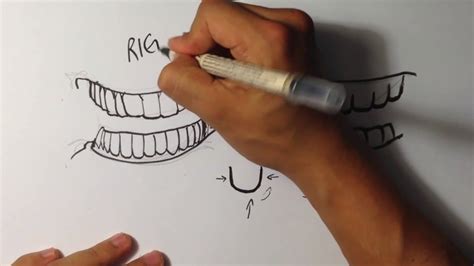 How To Draw Teeth Easy Pictures To Draw YouTube