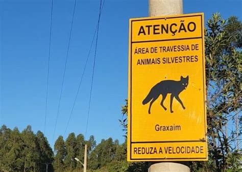 Placas De Travessia De Animais Silvestres Giro De Gravata