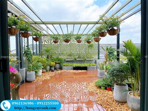 Dịch vụ trồng cây sân thượng Hà Nội