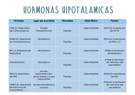 Hormonas Hipotalamicas Kimberly Brisseth Cieza Vargas Udocz