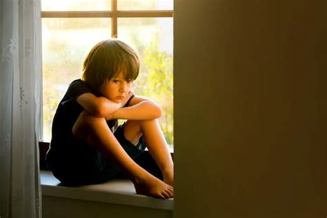 Causas Y Detecci N Del Bullying Psicol Gico Colegio De Psic Logos Sj