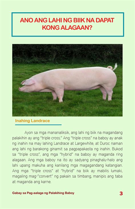 SOLUTION Copy Of Gabay Sa Pag Aalaga Ng Palakihing Baboy Studypool