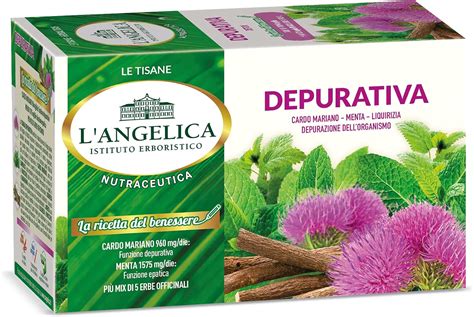 L Angelica Tisana Depurativa Detox Tisana Funzionale A Base Di Cardo