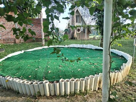 Chalet Tepi Sungai Di Perak Yang Anda Patut Cuba MohdRawi