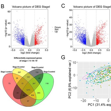 Differential Expression Gene DEG Analysis And Principal Component
