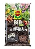 Guía completa Cómo preparar la tierra para un huerto Análisis y
