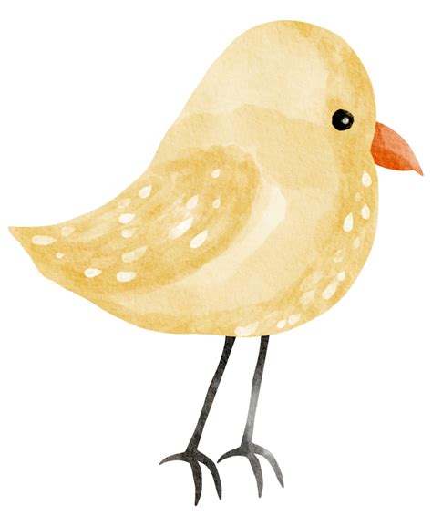 Birdhouse Watercolor Hand Painted 13183070 PNG