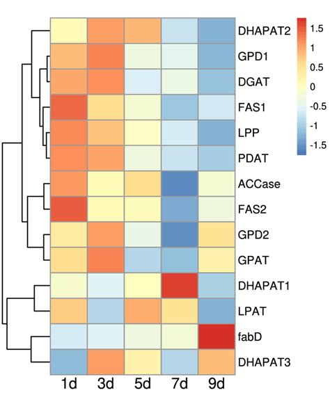 Hierarchical Cluster And Heatmap Displaying The Standardized Relative