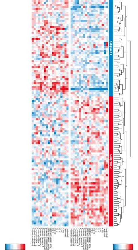 Dendrogram And Heat Map Illustrating The Result Of Hierarchical