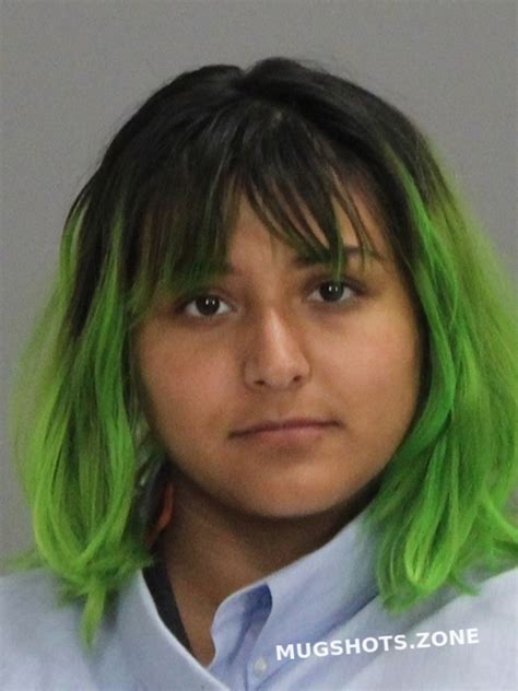 VARGAS KAITLEN ARIANNA 04 01 2021 Brazos County Mugshots Zone