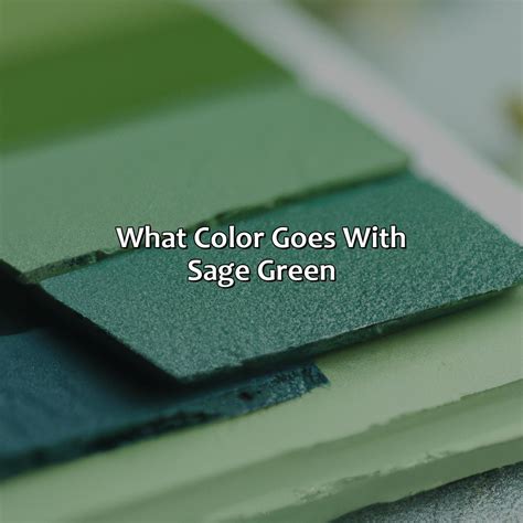 What Color Goes With Sage Green Colorscombo
