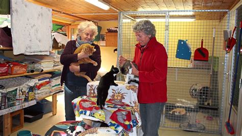 Löffingen Löffinger Tierschützer haben alle Hände voll zu tun