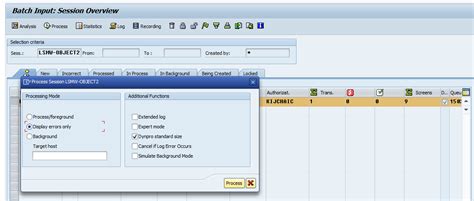 All About SAP LSMW Batch Input Recording Step By Step Manual