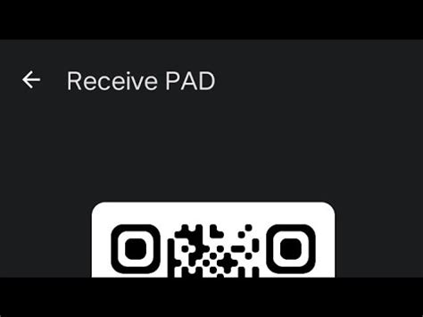 PAGADI PANDUAN CARA KONEKSIKAN KONTRAK ADDRESS TOKEN PAGADI DI