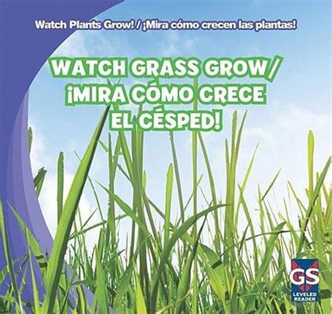 Watch Plants Grow Mira Cómo Crecen las Plantas Watch Grass Grow