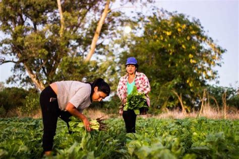 Mujeres y agroecología un camino hacia la soberanía alimentaria
