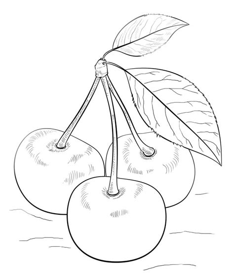 Coloriage Cerises 1 Dessin gratuit à imprimer