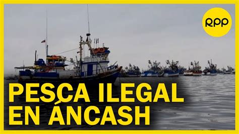 Pesca ilegal en Áncash La extracción de especies juveniles que termina