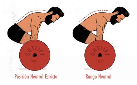 El Peso Muerto Gu A Para Tama O Est Tica Outlift