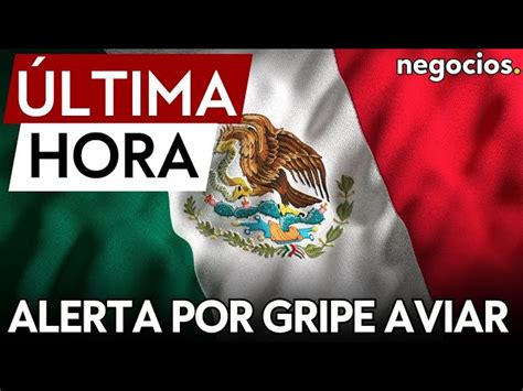 ÚLTIMA HORA La OMS anuncia en México la primera muerte humana por