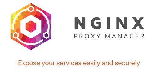 Efficient Nginx Management With Docker Setting Up Nginx Proxy Manager On Windows Linux And