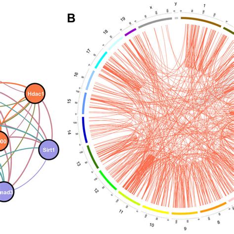 Different Visualizations Of Gene Regulatory Networks A The