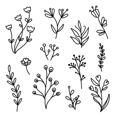 Flowers And Leaves Doodle Monoline Flower Drawing Leaves Drawing