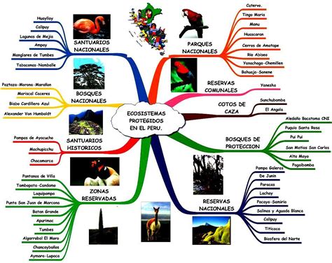 Arriba Imagen Regiones Naturales Mapa Mental Abzlocal Mx