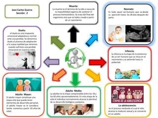 ETAPAS DEL DESARROLLO HUMANO PPT