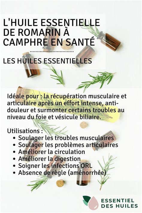 Huiles essentielles romarin à camphre Huile essentielle de romarin