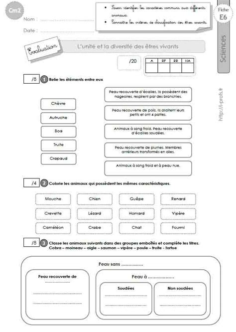 Cm Evaluation Sur L Unit Et Diversit Des Tres Vivants