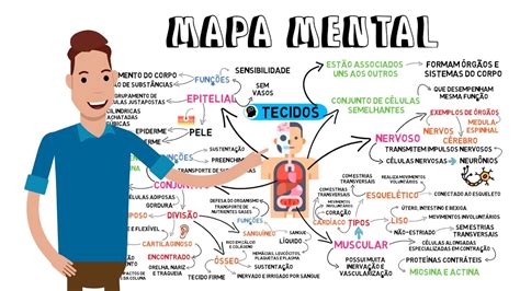 Tecidos Do Corpo Humano Mapa Mental REVOEDUCA