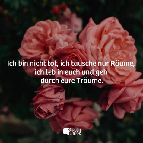 Ich bin nicht tot ich tausche nur Räume ich leb in euch und geh durch