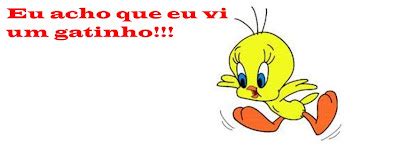 Capas Lyon Eu Acho Que Eu Vi Um Gatinho