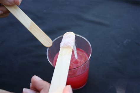 Strawberry Dna Extraction Explanation