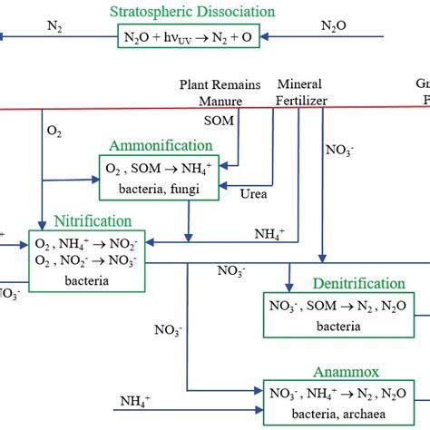 Simplified Nitrogen Cycle For The Soil Som Is Soil Organic Matter