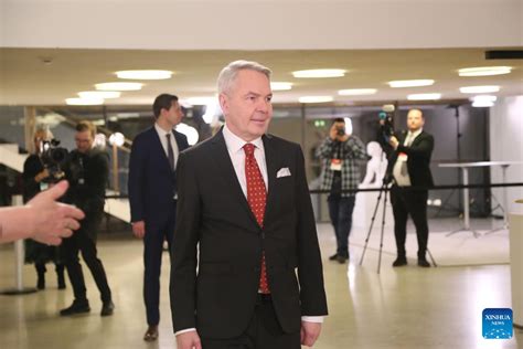 Stubb Haavisto Enter Finland S Presidential Election Finals Xinhua