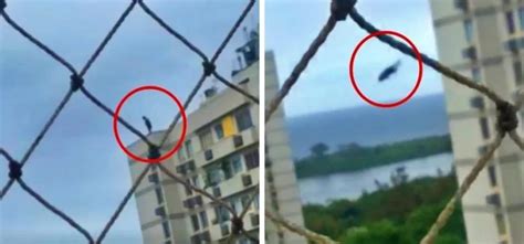 VÍDEO Homem pula de prédio de 25 andares após traição e morre na hora