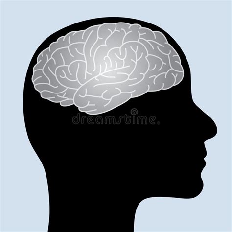 Concepto De Meditación Con Silueta De Perfil De Cabeza De Mujer Y