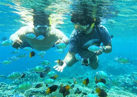 10 Tempat Wisata Di Gorontalo Yang Wajib Dikunjungi KATA OMED
