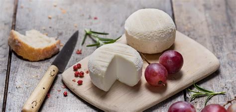 Crottin De Ch Vre D Couvrez Un Fromage De Terroir
