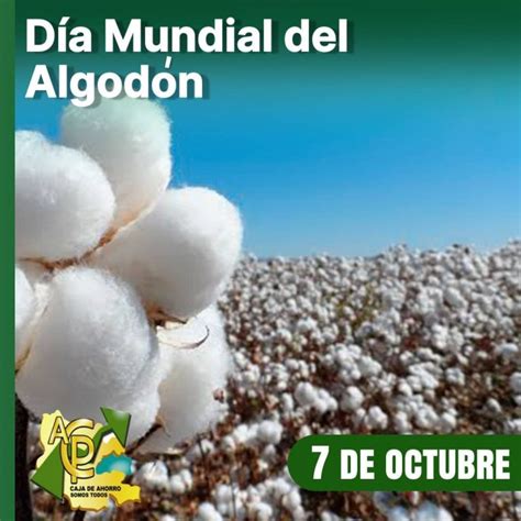 DÍA MUNDIAL DEL ALGODÓN ACCAPAEEC