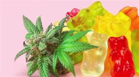 Ni Os Intoxicados Con Gelatina De Marihuana C N