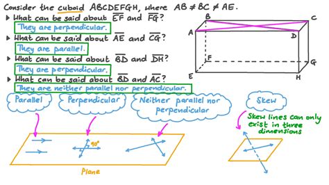 question video identifying the relation between line segments in space nagwa