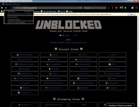 Pirate Tor Browser 0 8 Tor 8 5 1 скачать бесплатно browserss ru