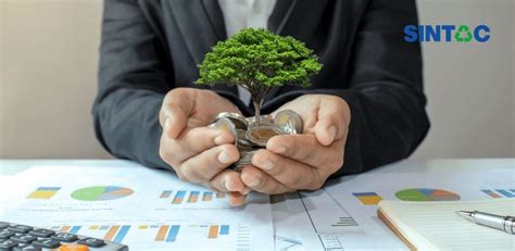 Economía verde qué es y cuáles son sus ventajas SINTAC
